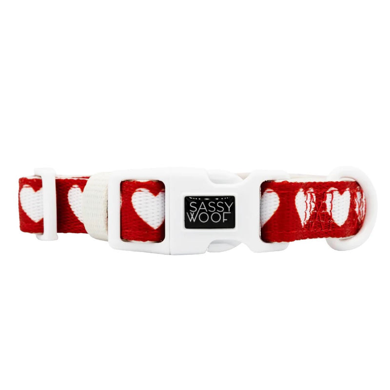 Sassy Woof Dog Collar- Little Love – Paws and Whiskers