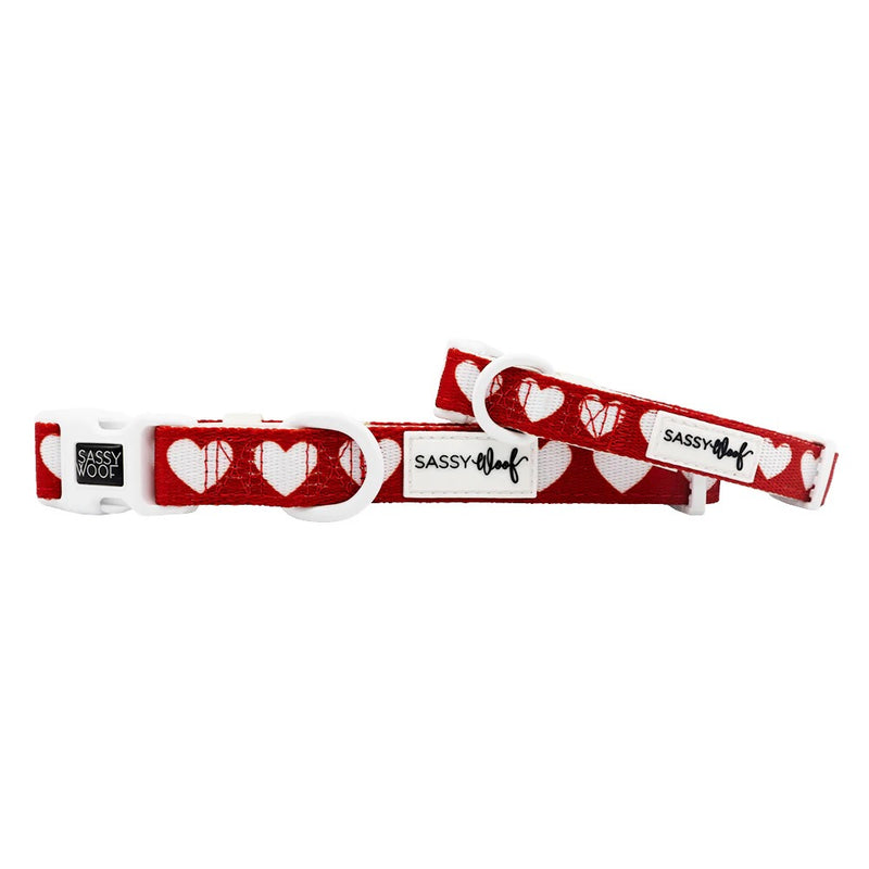 Sassy Woof Dog Collar- Little Love – Paws and Whiskers