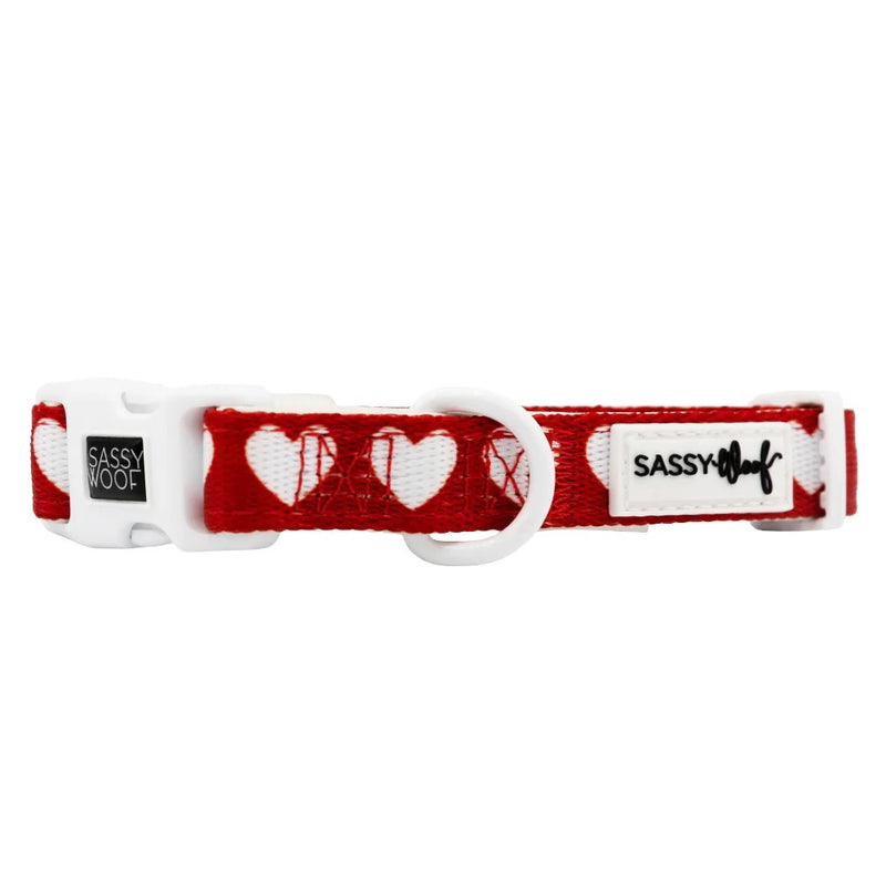Sassy Woof Dog Collar- Little Love – Paws and Whiskers