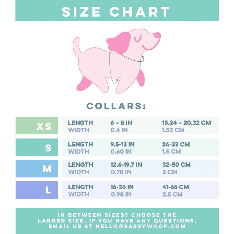 Sassy Woof Dog Collar- Little Love – Paws and Whiskers