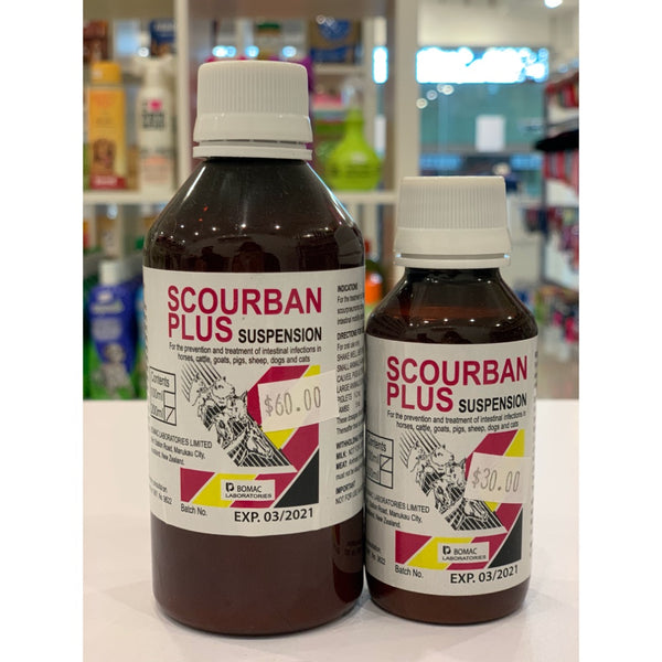 Scourban Plus Suspension – Paws and Whiskers